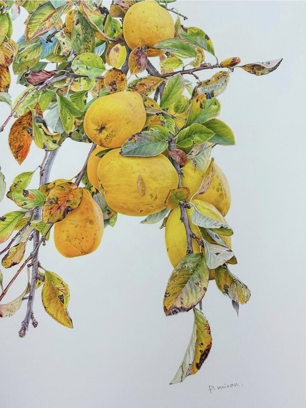 자연의 숨결을 화폭에 담다… ‘제2회 IKBA 보태니컬아트 교육협회 공모전 수상작 전시’ 개최